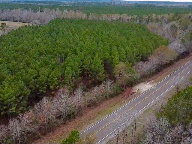 358 Holcombe Rd, Groveton, TX 75845 | MLS #58167 | Compass
