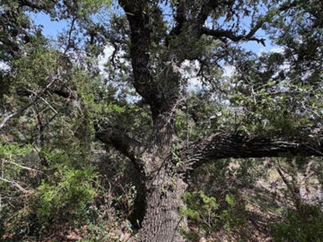 358 LOT 1241 Toucan Dr
