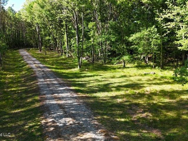 358 Robinson Springs Rd, Flora, MS 39071