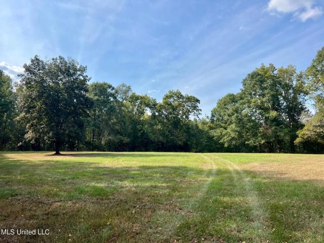 358 Robinson Springs Rd Road