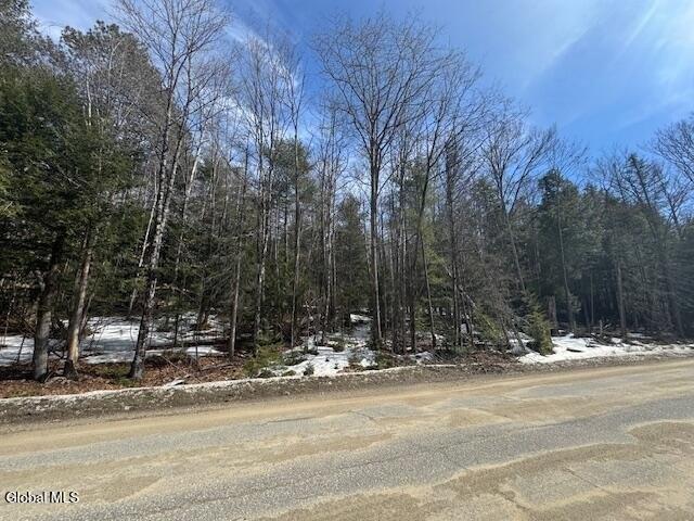 358 River Rd, Riparius, NY 12862