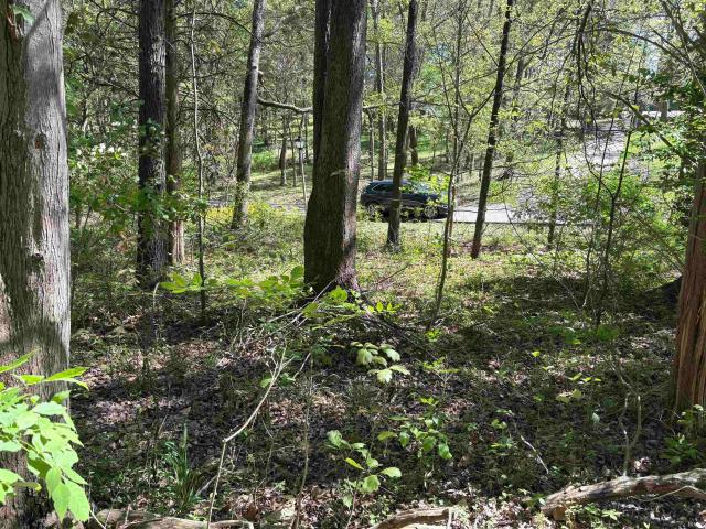 358 W Evergreen N Plaza