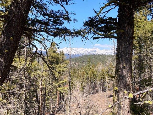 3595 Bear Gulch Rd, Lincoln, MT 59639