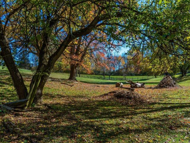 3596 Goose Lane