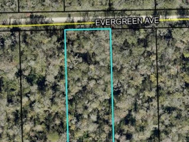 3599 Evergreen Ave, Bunnell, FL 32110