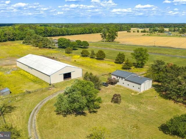 3599 Phillips Road