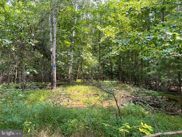 3590 Twinbrook Drive