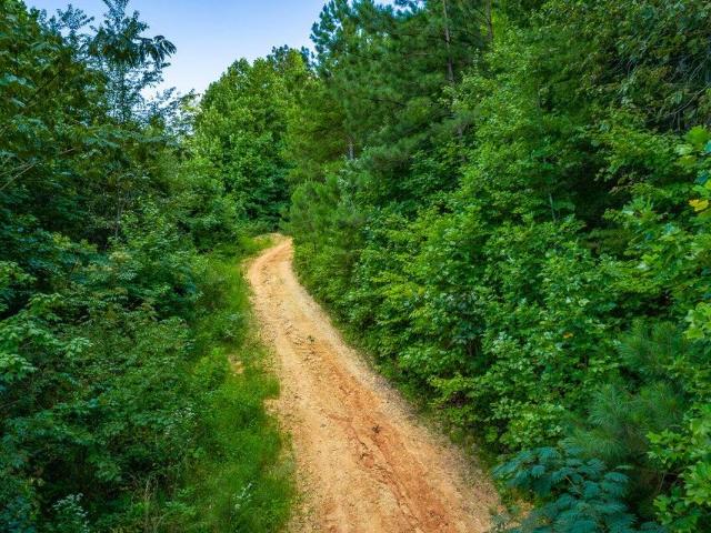 359 County Road 4, Calhoun, TN 37309 | MLS #1521