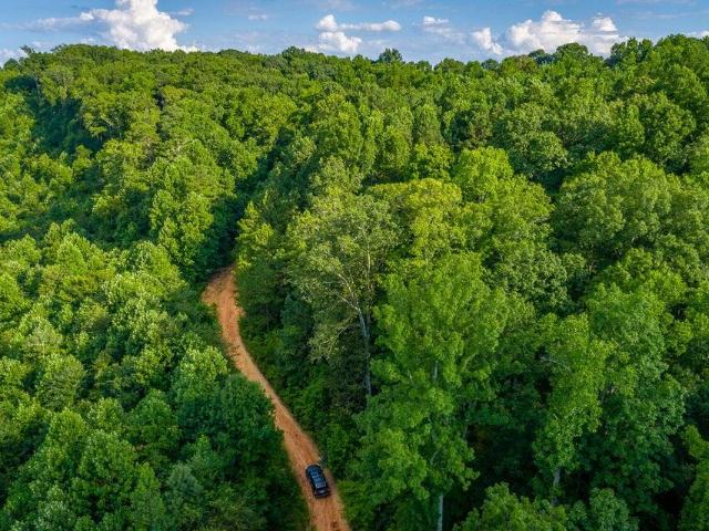 359 Co Rd 4