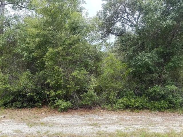359 Coolidge Ave NE, Lake Placid, FL 33852