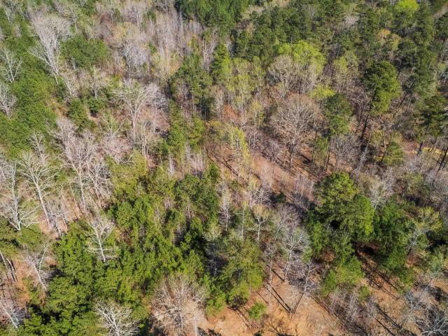 359 Holly Point Road