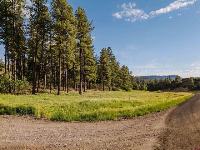 359 Ironwood Dr, Pagosa Springs, CO 81147