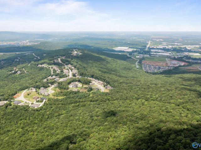 35.5 Acres Hawks Way