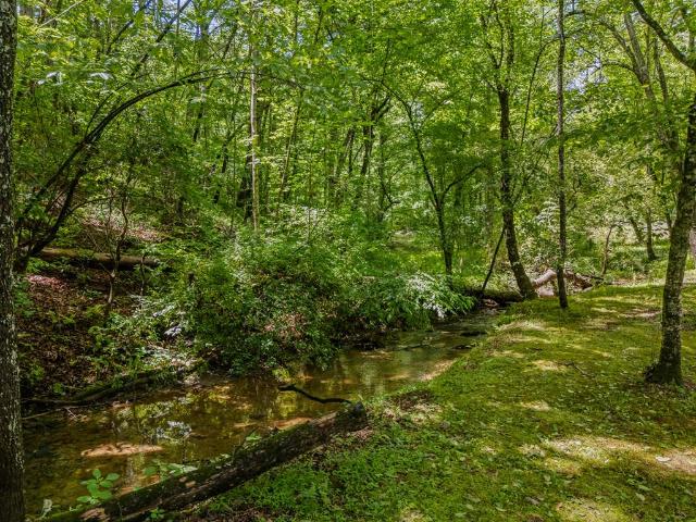 35 Winding Hill Trail