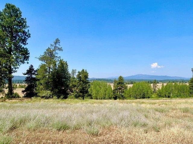 35 Wood Run Trl Lot 10, McCall, ID 83638