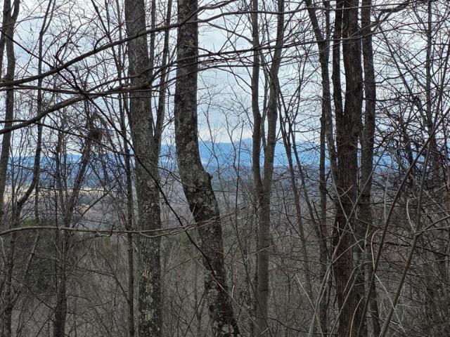35 ac Ducks Nest Rd, Turtletown, TN 37391 | MLS #422393