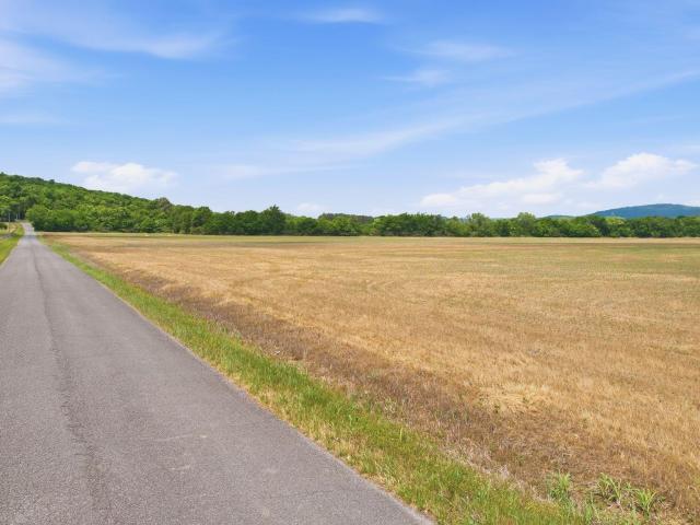 38 acres Thomas Lane
