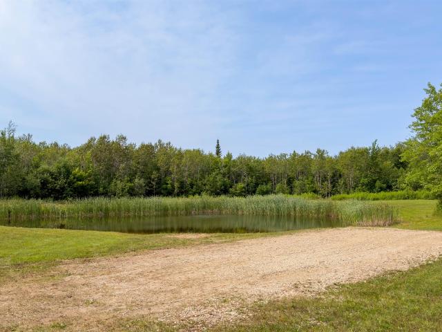 35 Acres Townline Road