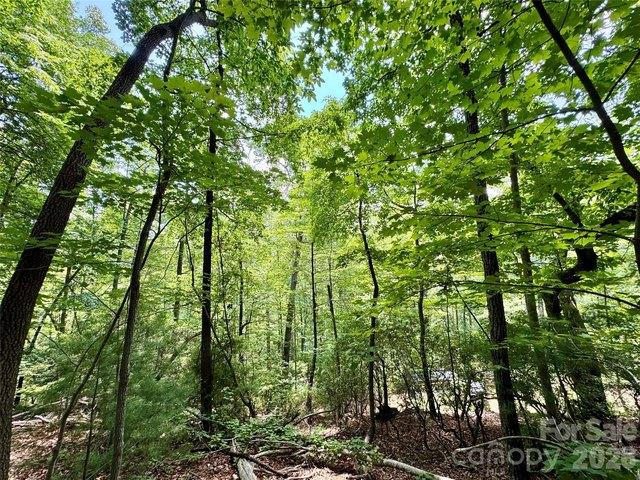 35 Acres Lot 23 Bear Track Ln Unit 23, Lenoir, NC 28645
