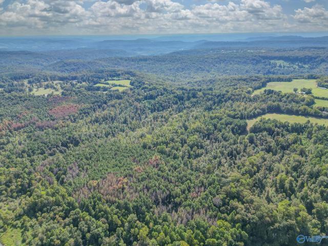 35 ACRES Pine Ridge Road