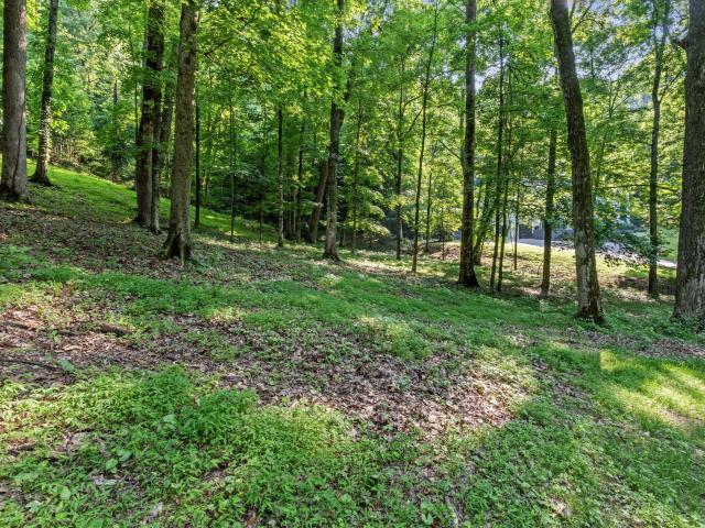 35 Annandale, Nashville, TN 37215 | MLS #2905
