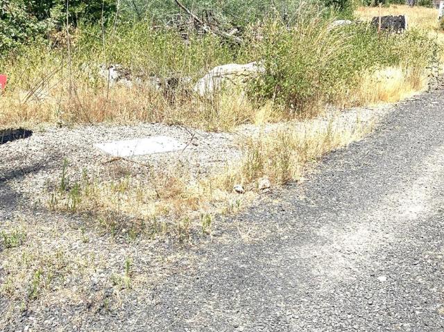 35 Bromilow Ln, Berry Creek, CA 95916 | MLS #225094