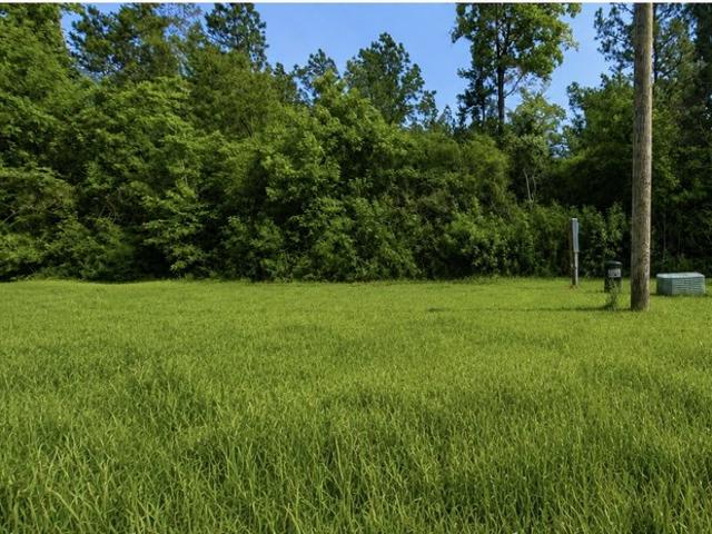 35 Coyote Run, Willis, TX 77378