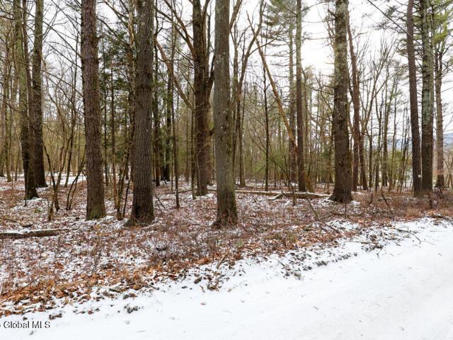 35 Denniston Drive