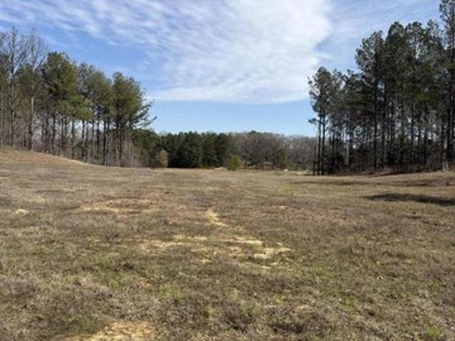 35 Deerwood Dr Lot 35, Lake Cormorant, MS 38641
