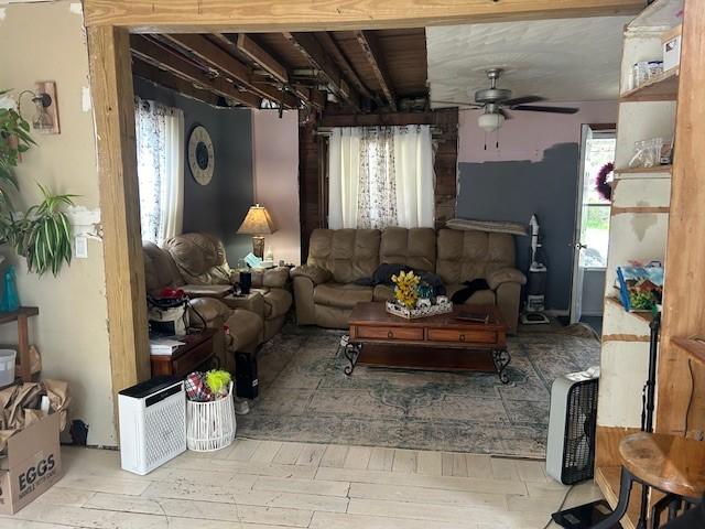 35 Dininny Place