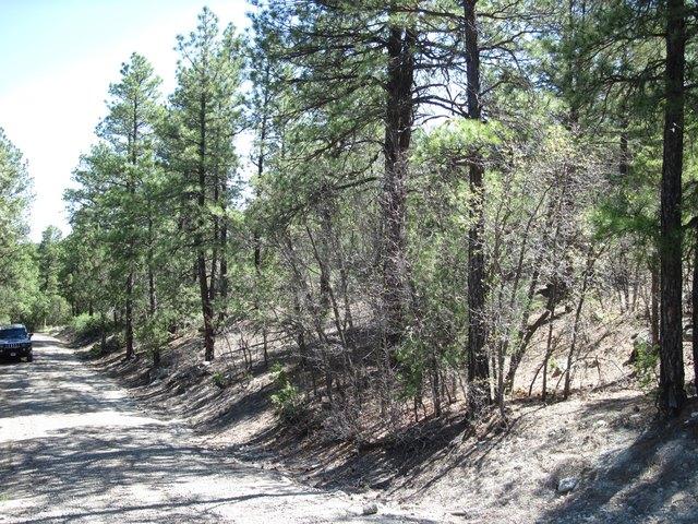 35 Green Shadow Ln, Tijeras, NM 87059