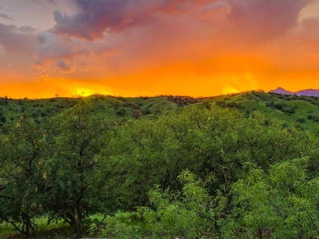35 Hog Cyn, Sonoita, AZ 85637