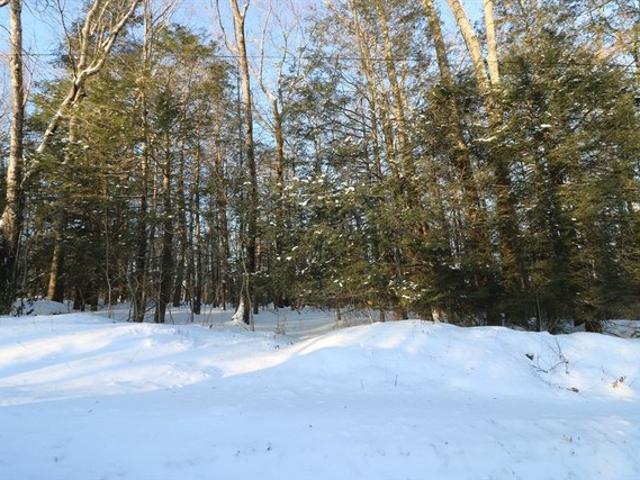 35 Ladd Rd, Sturbridge, MA 01566