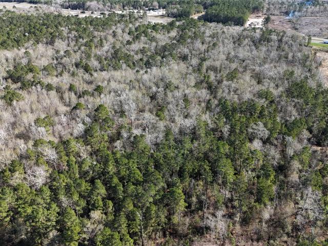 35 Old Highway 35 N, Livingston, TX 77351 | MLS #25137
