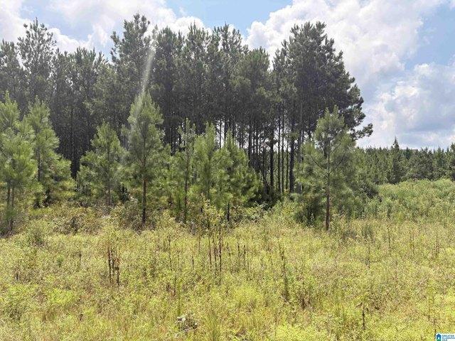 35 Queen Dr Lot 5, Columbiana, AL 35051