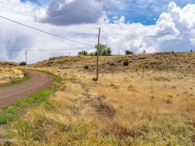 35 Ranch 5126 Rd, Concho, AZ 85924 MLS 252762