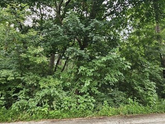 35 Ridgeland Ave, Fox Lake, IL 60020