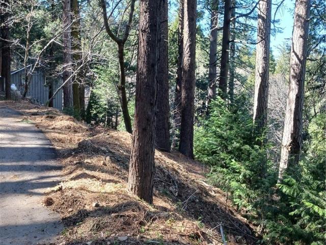 35 Spring Dr, Cedarpines Park, CA 92322 | MLS #IG25042