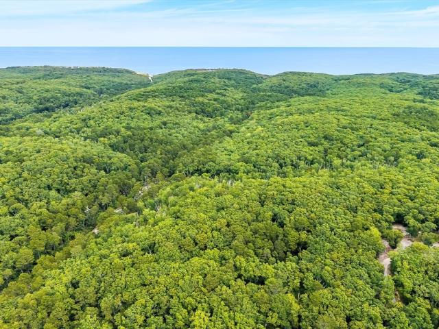 35A Higgins Hollow Rd