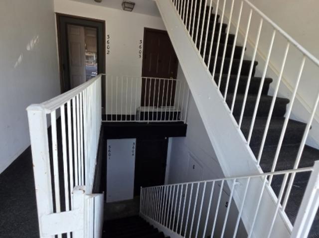 3604 Balsam Way Ondo