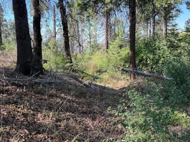 36070 Lower Cressman Rd, Shaver Lake, CA 93664