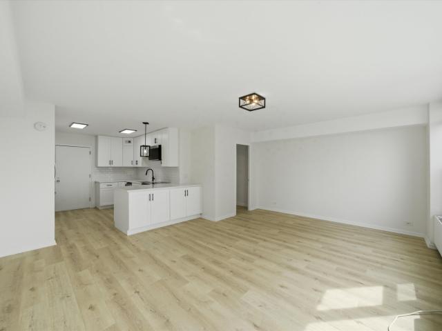 3600 N Lake Shore Drive # 1217