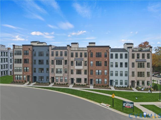 3600 Daisy Field Walk B