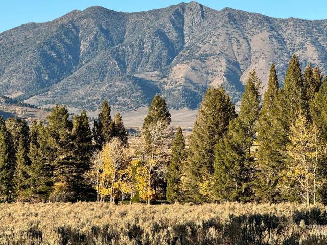 3600 W Red Rock Pass Rd