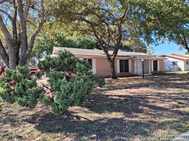 3601 Vinecrest