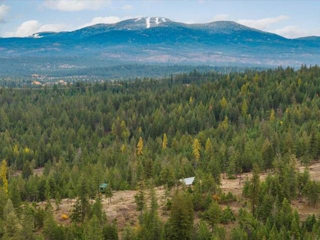 36022 N Milan Elk Rd, Chattaroy, WA 99003