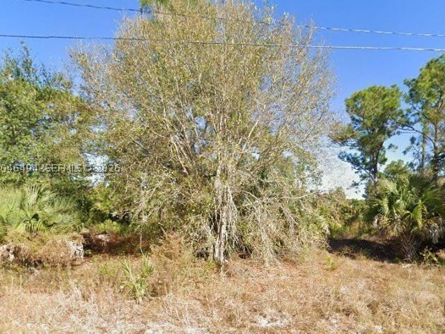 3602 63rd St W, Lehigh Acres, FL 33971