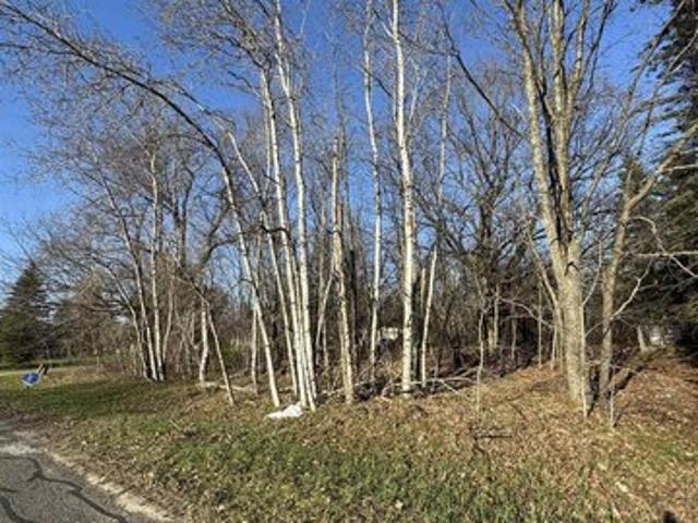 3603 Cecil Rd, Cadillac, MI 49601