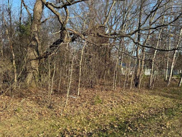 3603 Cecil Road