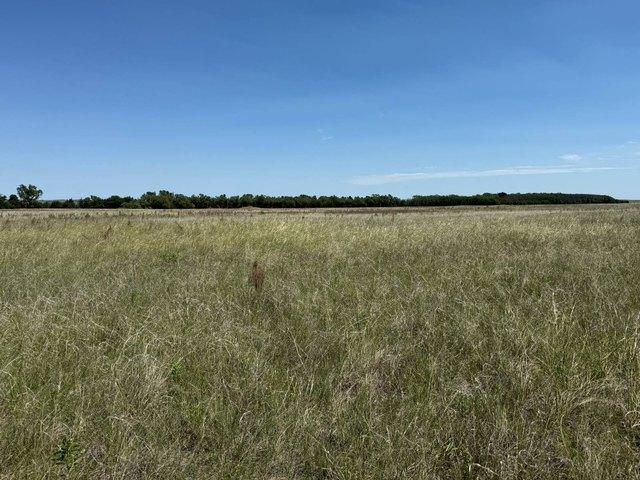 360 Acres, O'Neill, NE 68763